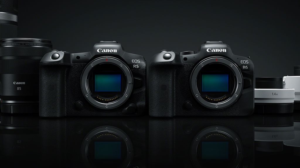 Canon EOS R5 vs EOS R6: 10 key differences you need to know | TechRadar