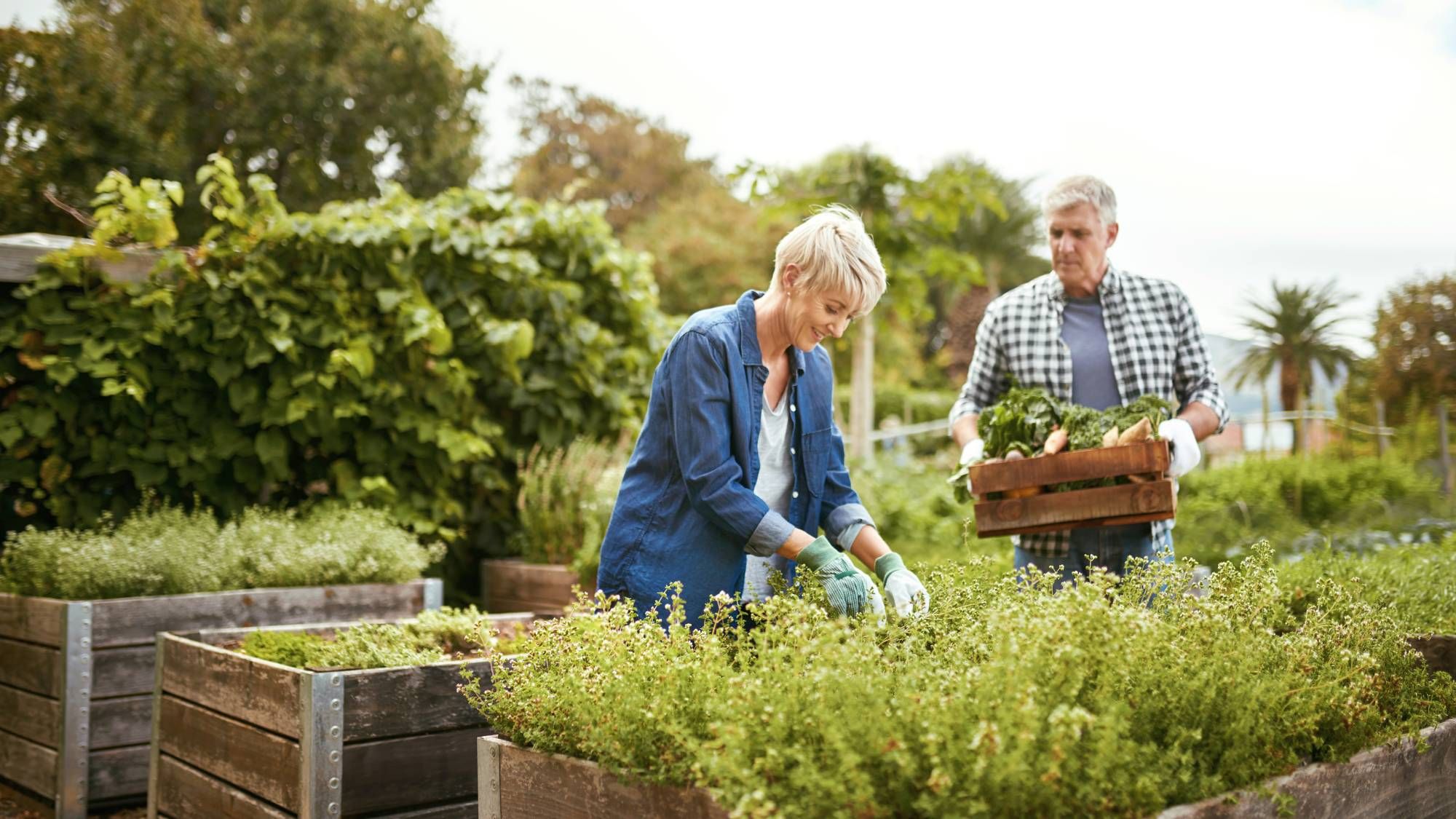 How To Future-Proof Your Garden as You Age | Gardening Know How
