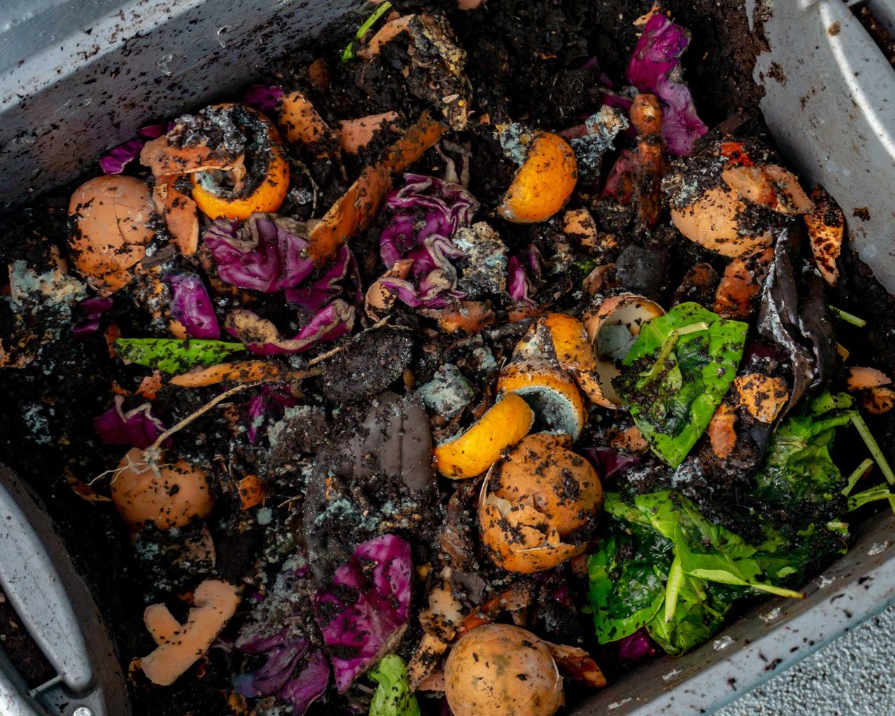 Worm Composting: A Practical Guide On How To Do It And Why It's Good 