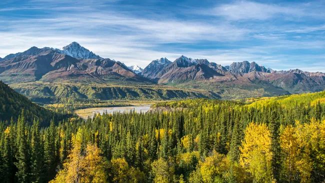 What is the treeline? And why is it important? | Advnture