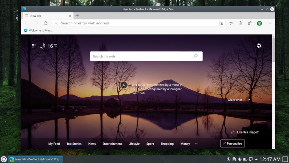 Microsoft Edge for Linux (Dev) review | TechRadar