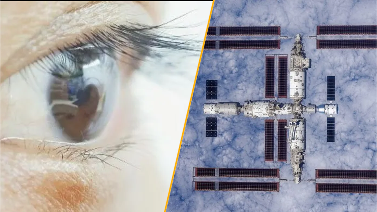 Science news this week: 'Super-vision' contact lenses and bacteria in ...