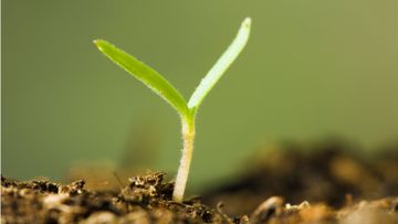 18 composting tips I learned from Charles Dowding | Homes and Gardens