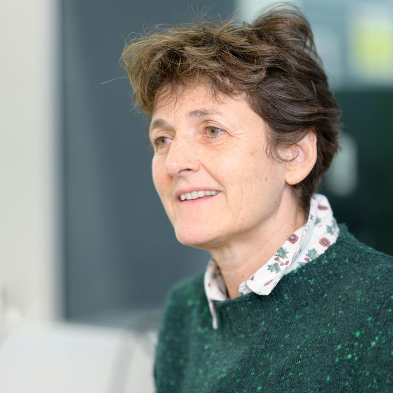 Isabella Tree on how rewilding took the Knepp Estate from a ruin in the ...