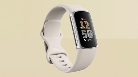 How to get started with the Fitbit AI personal health coach and app ...