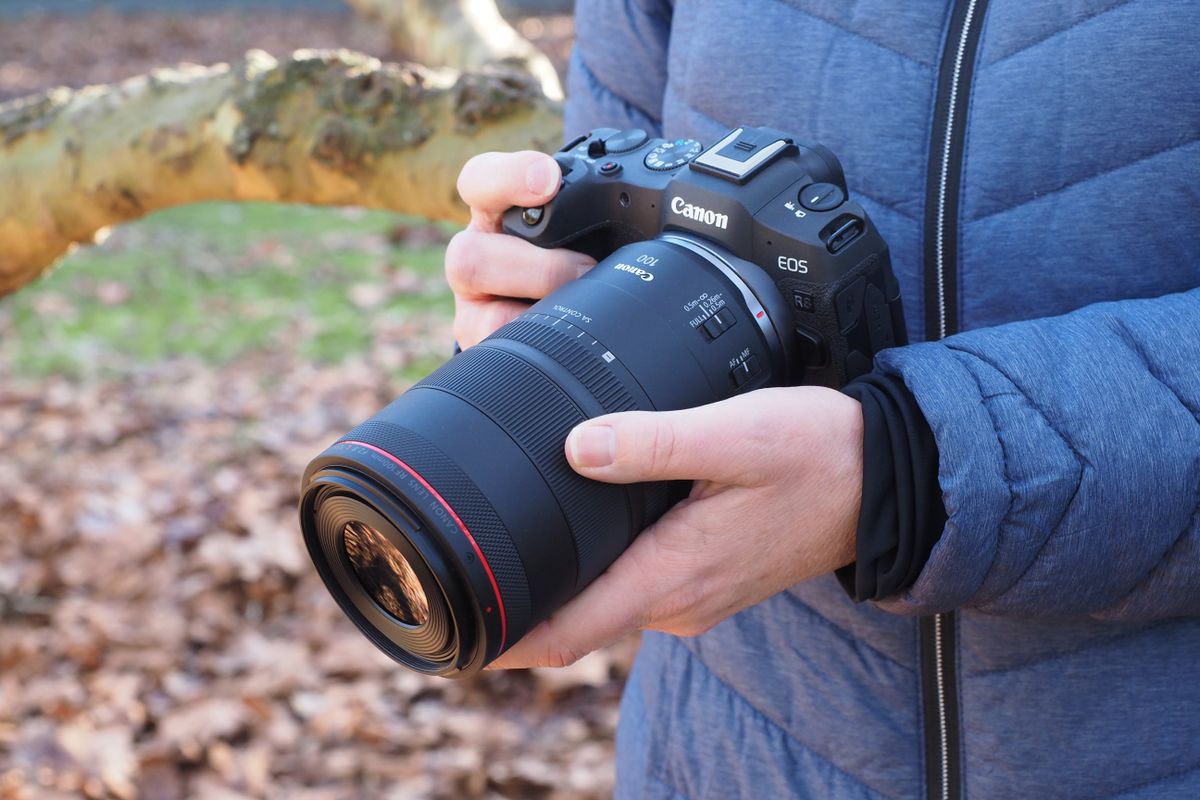 Canon RF 100mm F2.8L Macro IS USM review - hidden depths | TechRadar