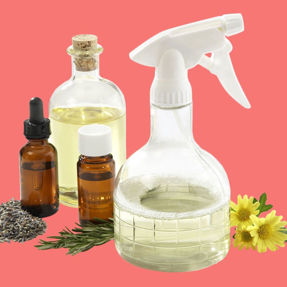 7 Natural Mosquito Repellants - Natural Insect Repellent For Summer ...