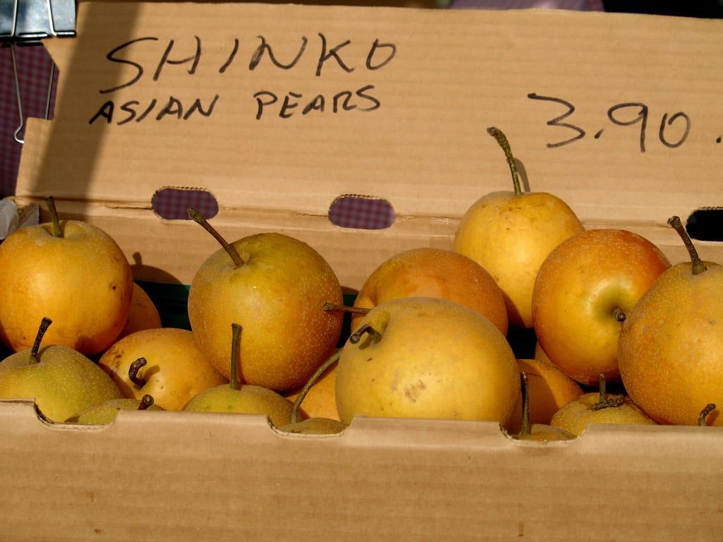 Caring For Shinko Asian Pears – How To Grow Shinko Pears In The ...