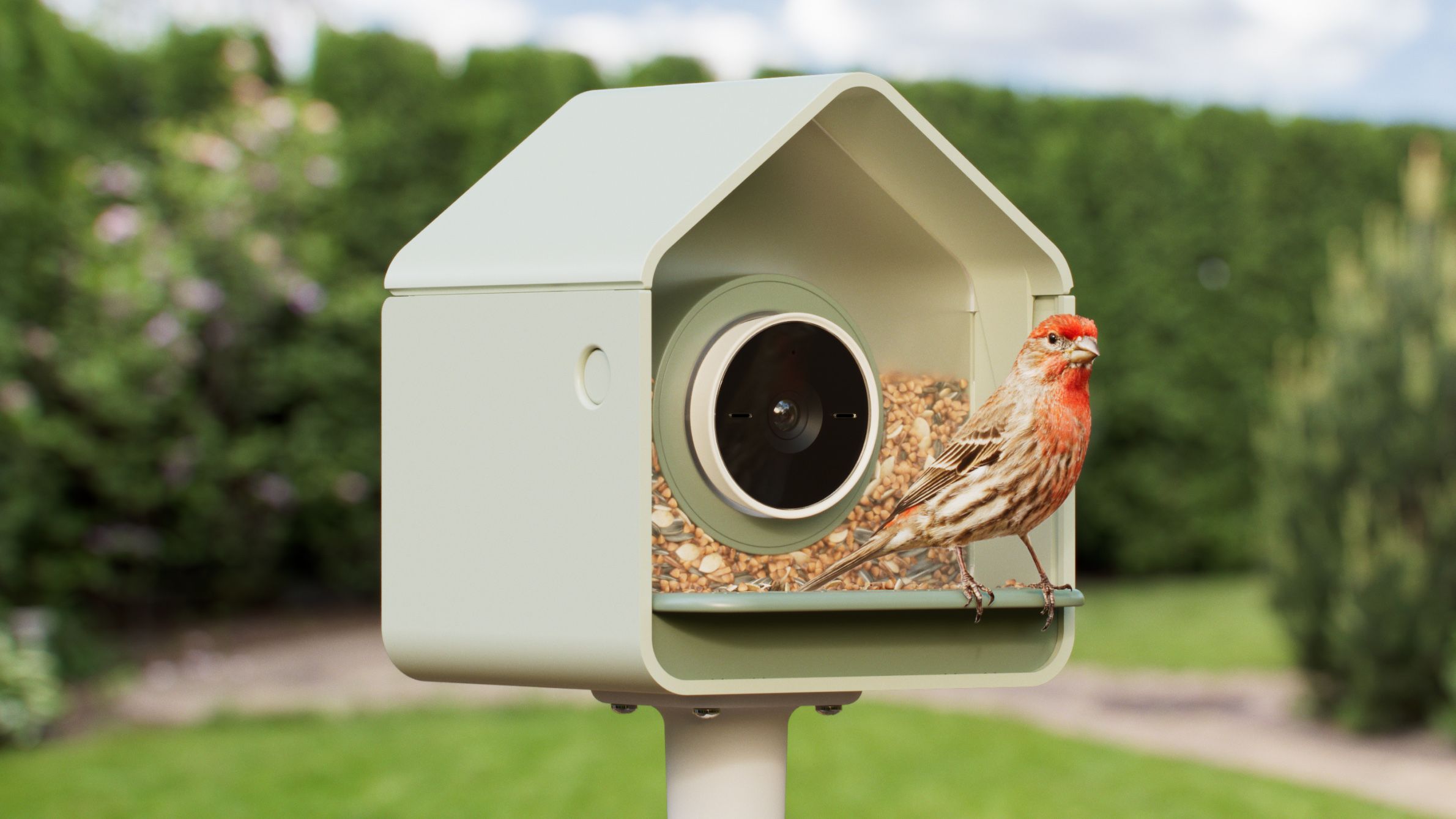 Birdbuddy unveils its most affordable 'mini' bird feeder camera — and ...