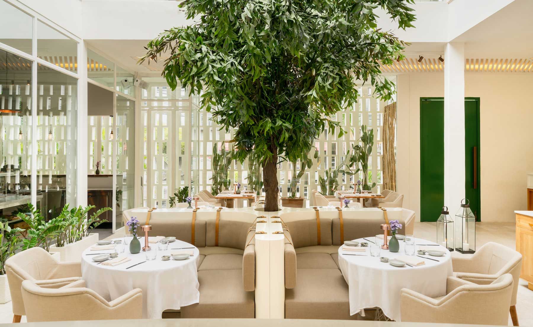 Mauri opens in Bali's buzzy Seminyak neighbourhood | Wallpaper