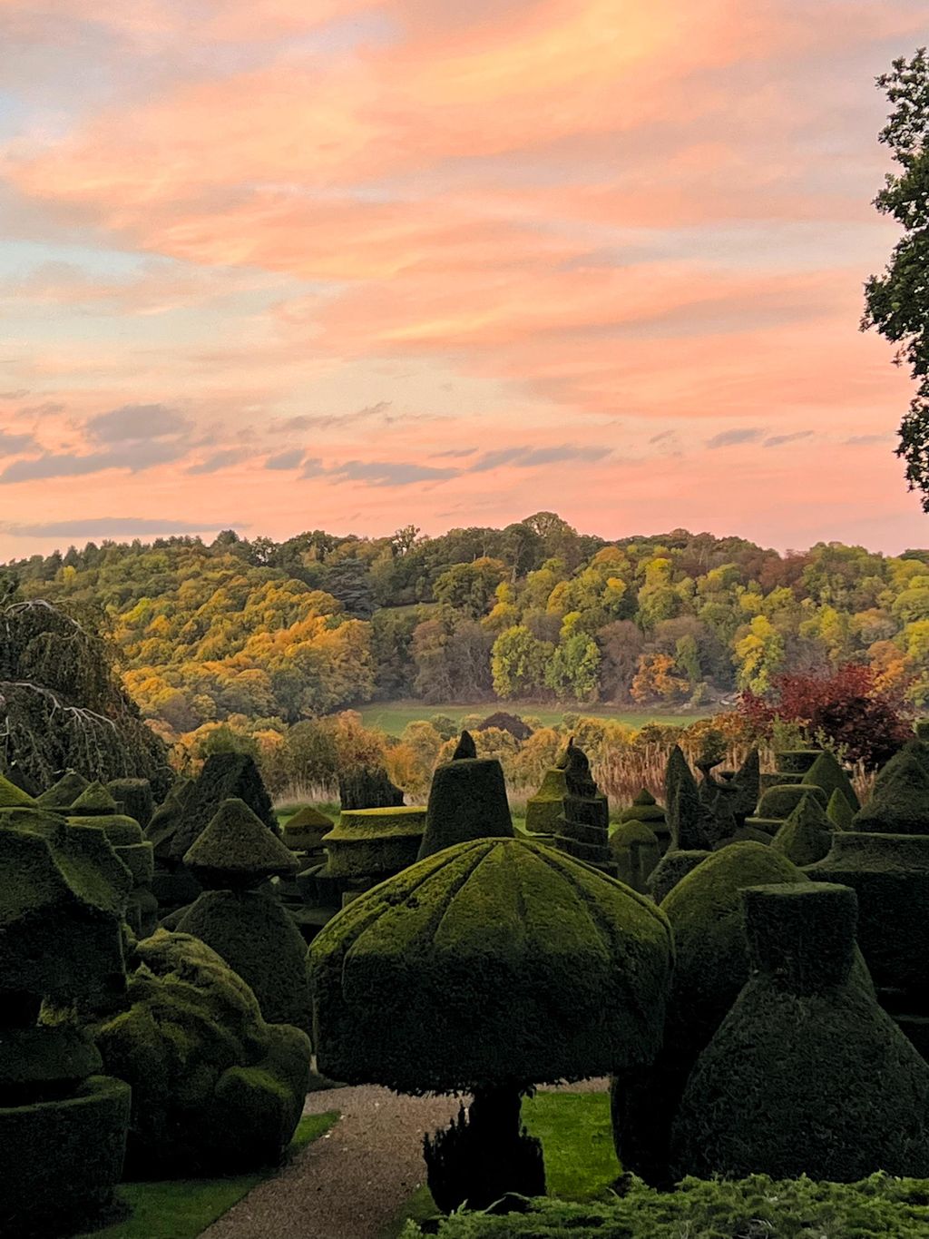 George Harrison's Garden: How the Beatle and his wife turned a 'tangled ...