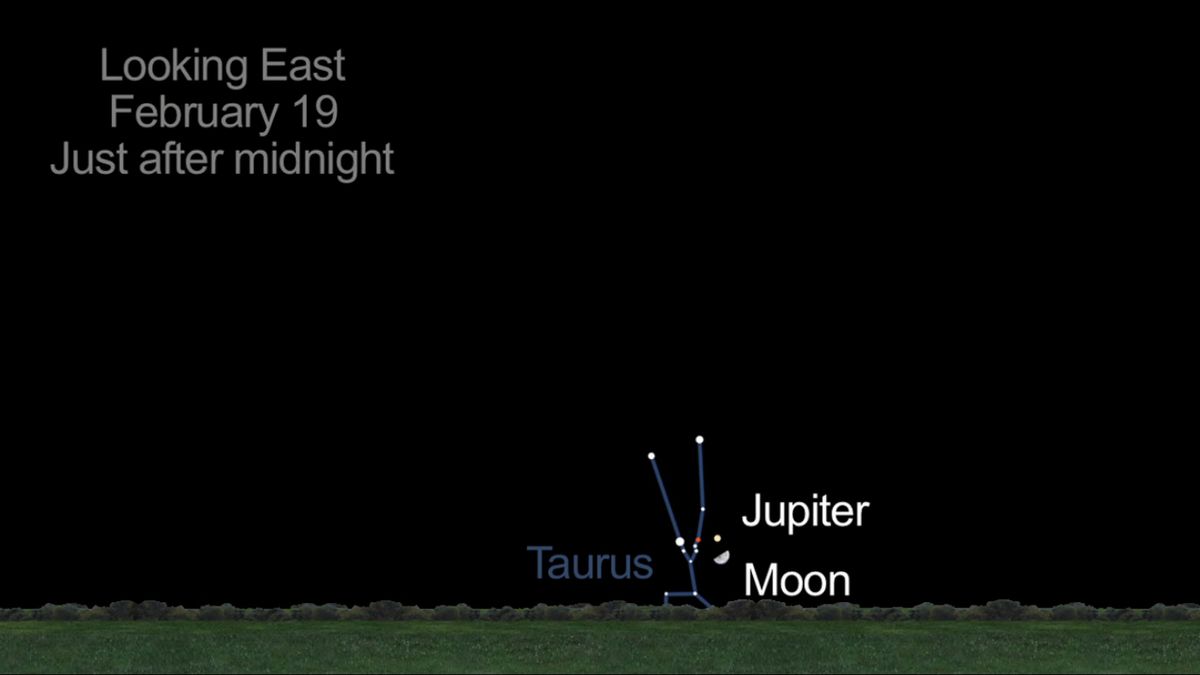 See the Moon Pass Jupiter Tonight and Monday | Space