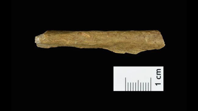 45,000-year-old bones unearthed in cave are oldest modern-human remains ...