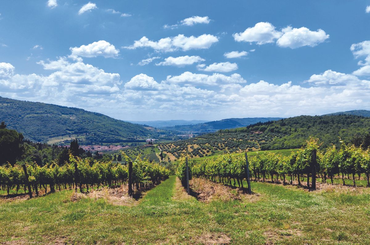 Head for the hills: 20 top Chianti | Decanter