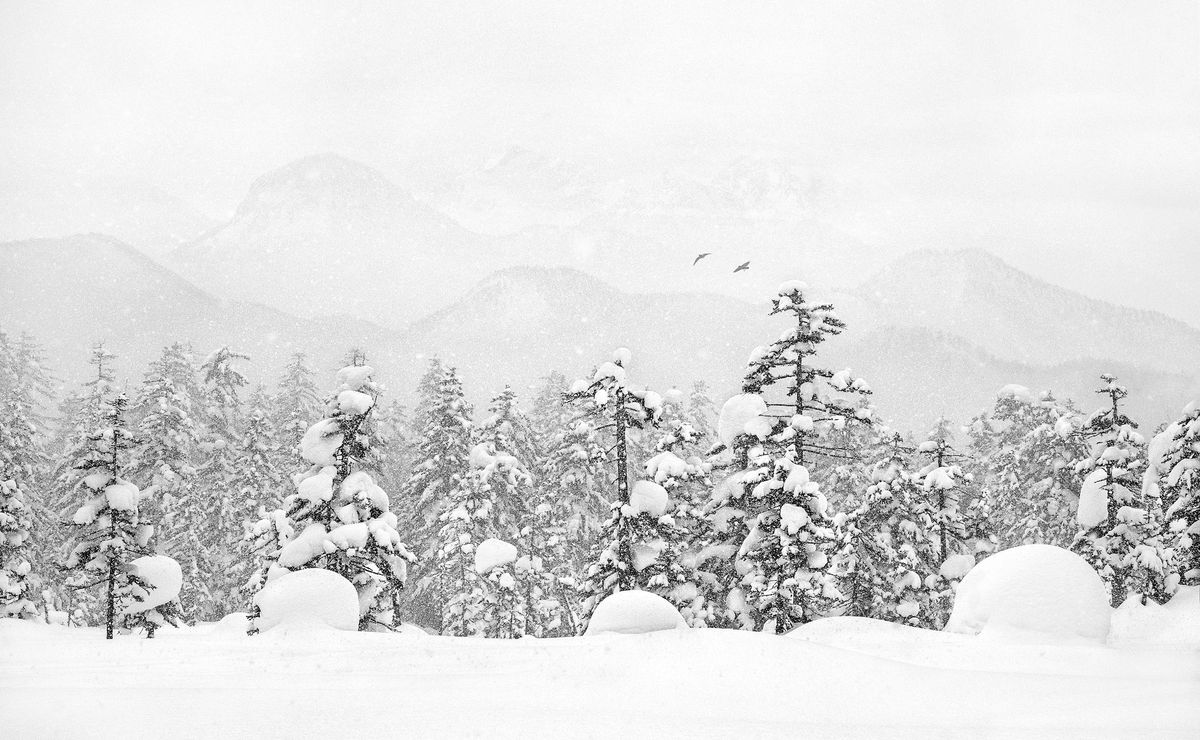 Image of legendary tennis champion wins 2024 Australian Photographic ...