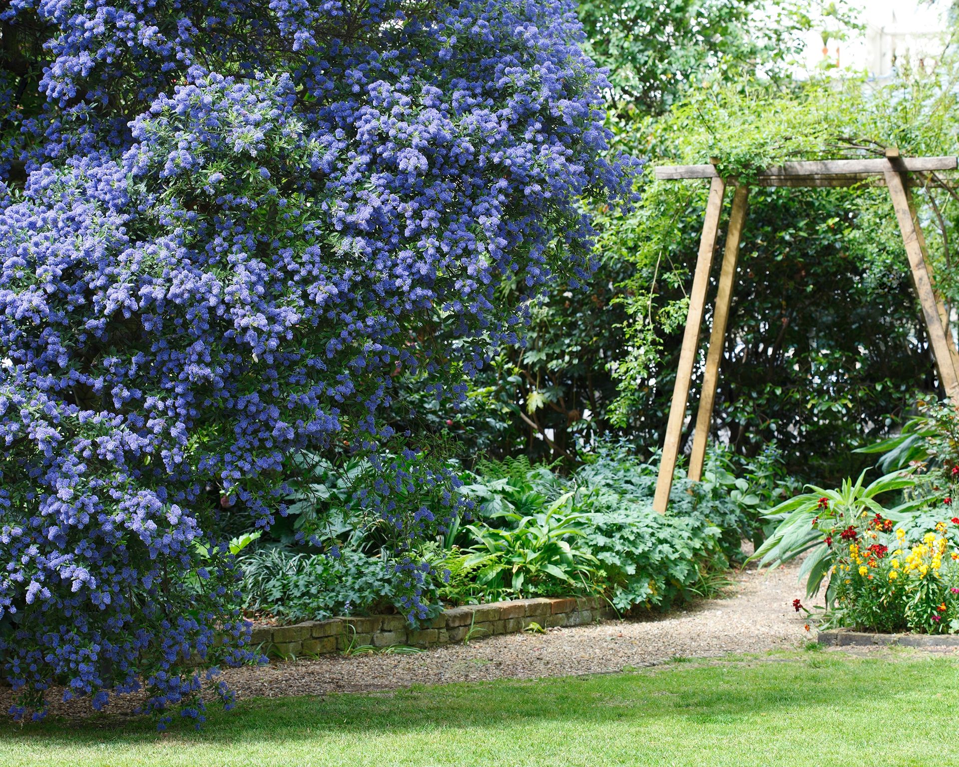 Rewilding – the latest garden trend – 10 ways to rewild your outdoor ...