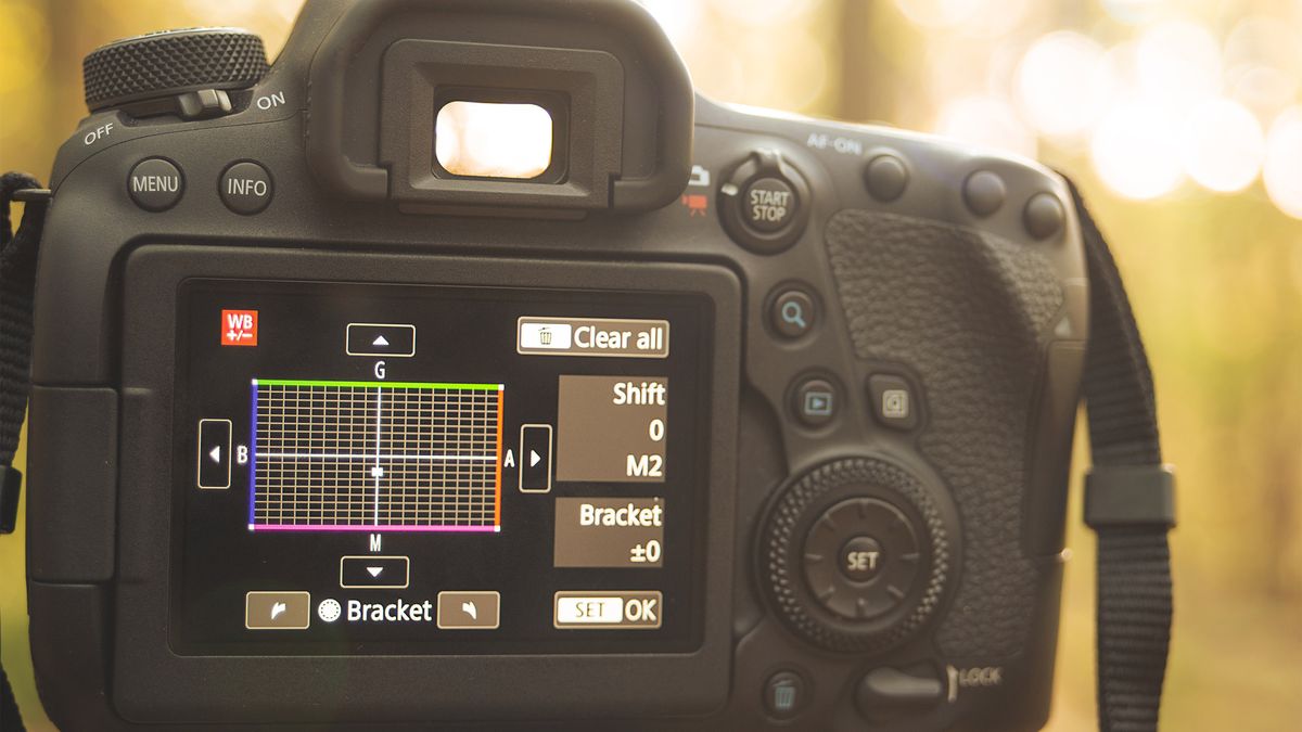 Get perfect fall colors in-camera! Use white balance like a pro ...