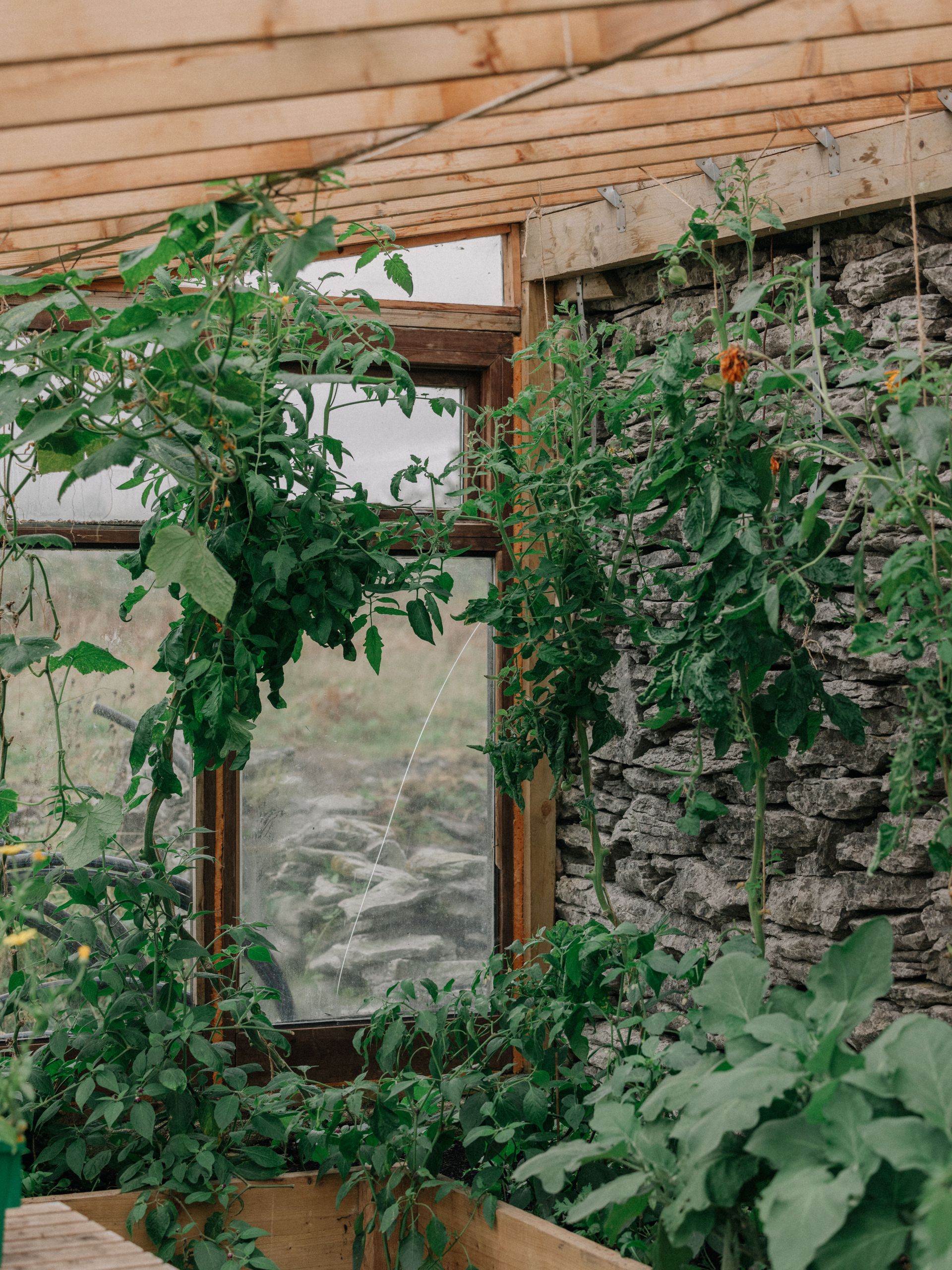 Summerage at The Burren: a colourful case for slow living | Wallpaper*