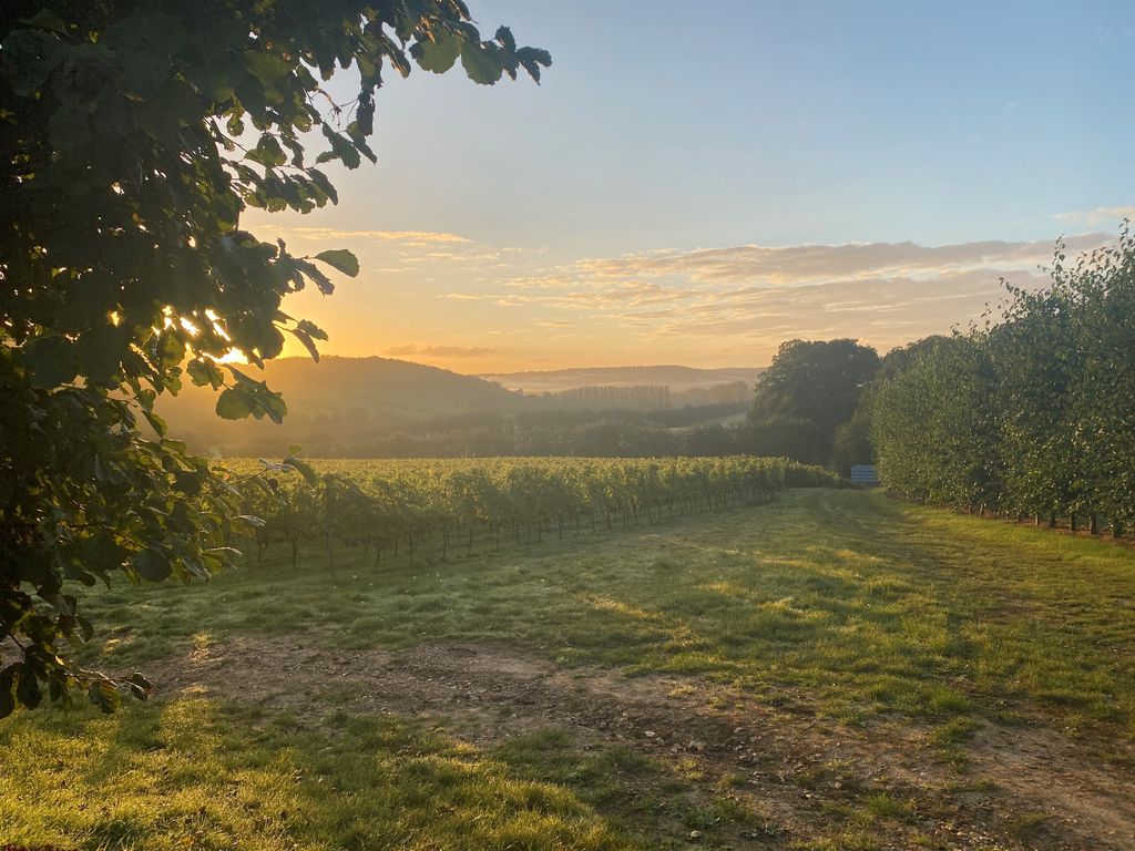 Domaine Evremond is the UK’s first subterranean winery | Wallpaper*