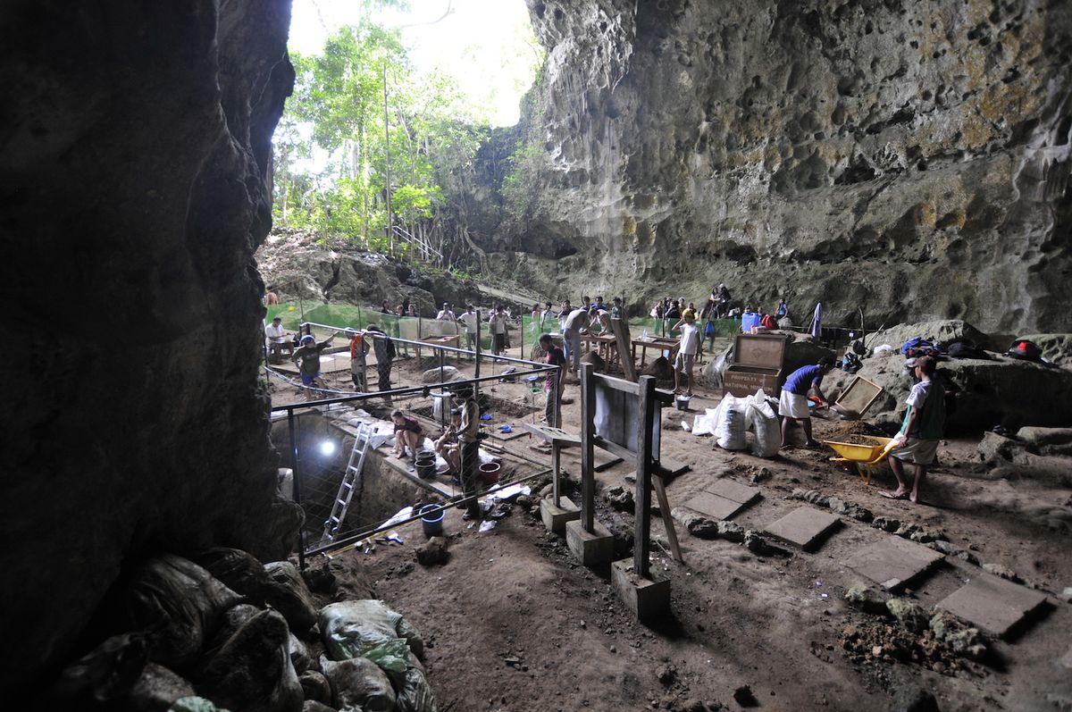 Photos: Newfound Ancient Human Relative Discovered in Philippines ...