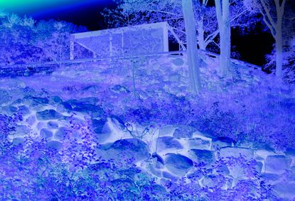 Glass House by James Welling, NYC | Wallpaper