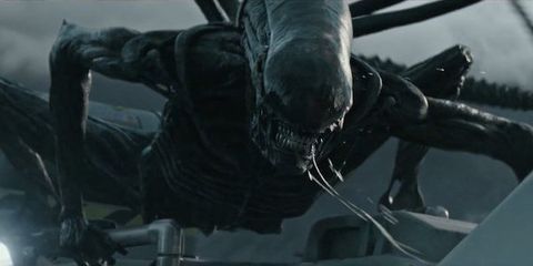 From A To Xenomorph: The 14 Different Creatures In The Alien Franchise ...