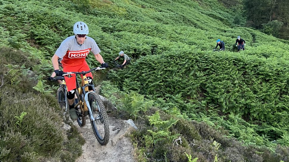 How to defend against ticks while mountain biking and what to do if you ...