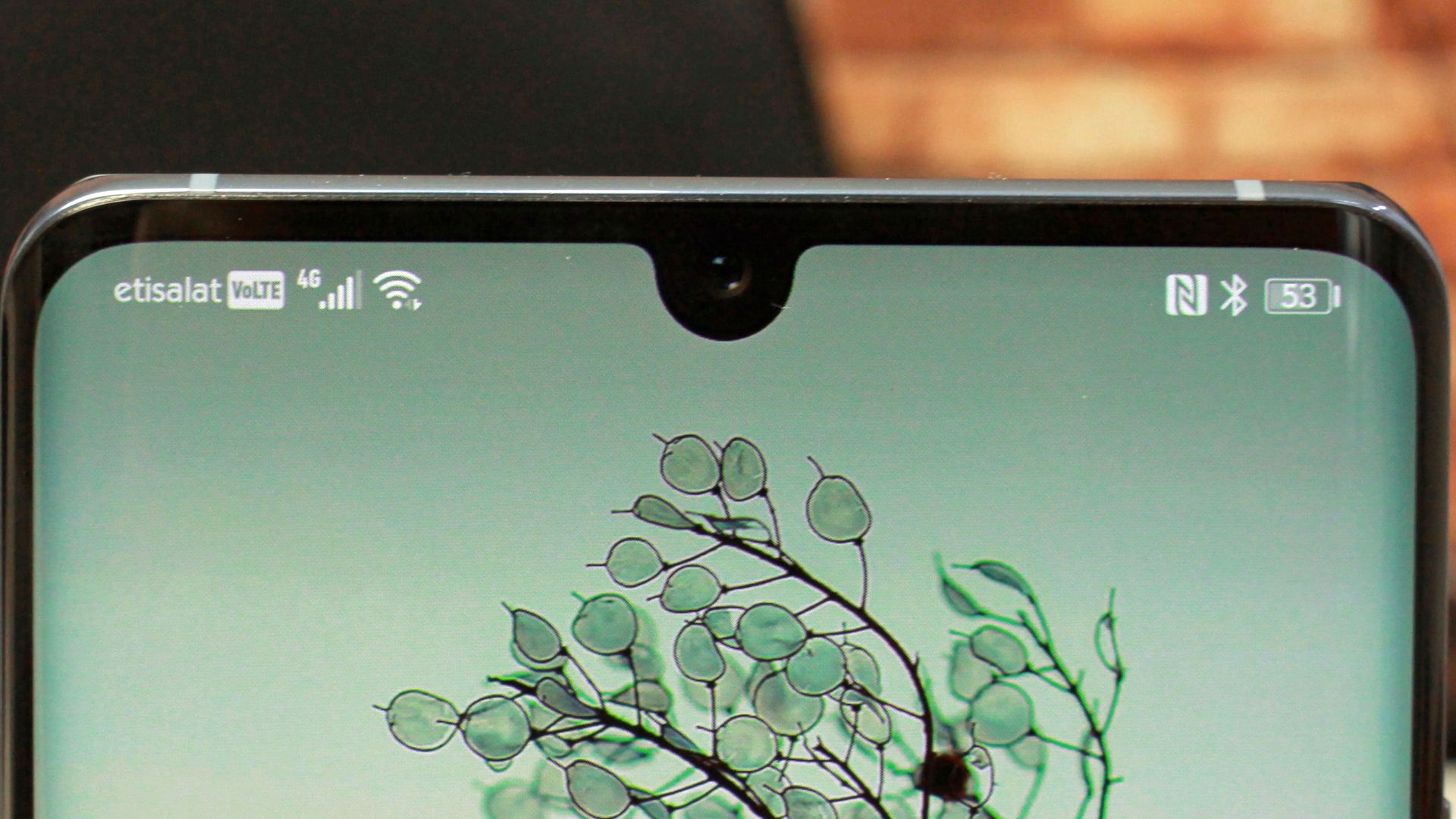 Huawei P40 Pro leaked image shows gigantic front camera cut-out | TechRadar