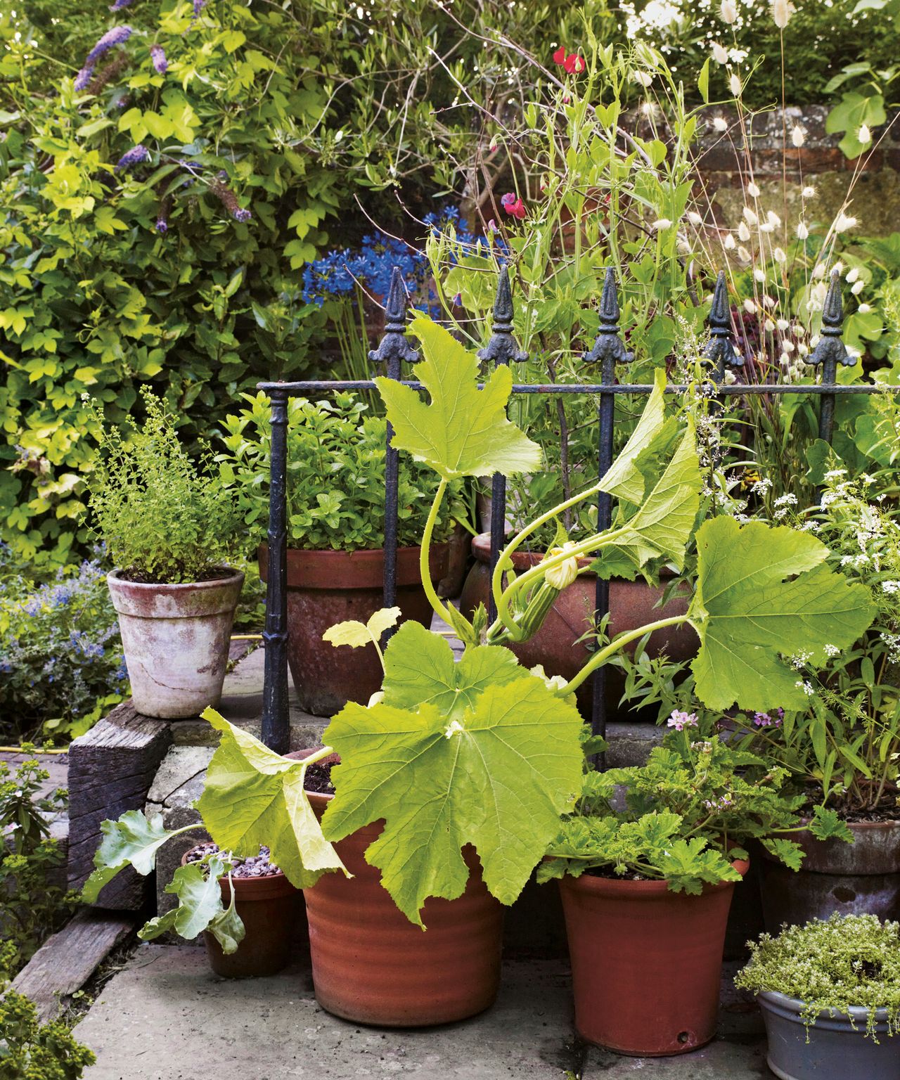 Vegetable garden container ideas for growing crops in pots | Homes and ...