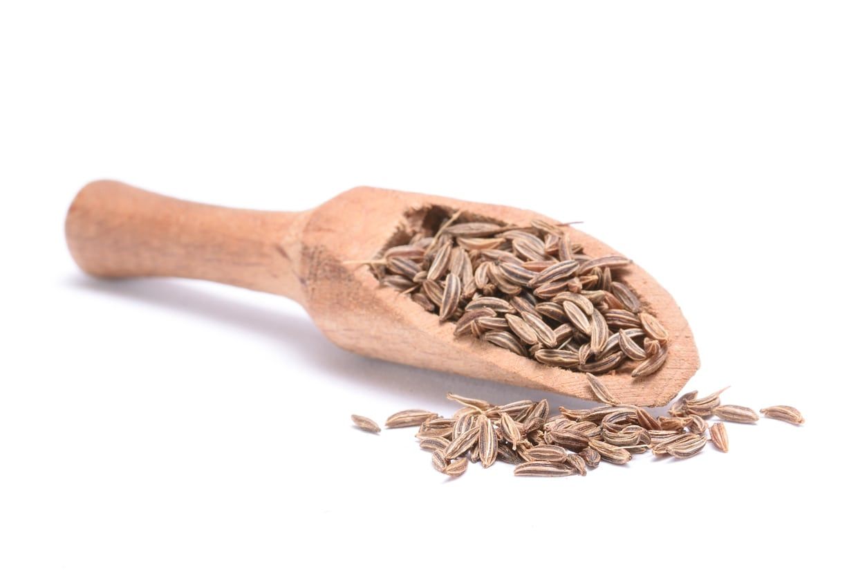 Growing Caraway From Seed: How And When To Sow Caraway Seeds ...