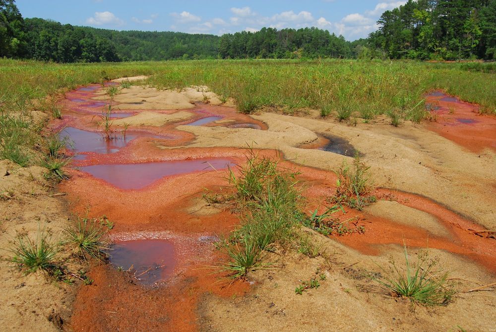 Dry and Dying: Images of Drought | Live Science