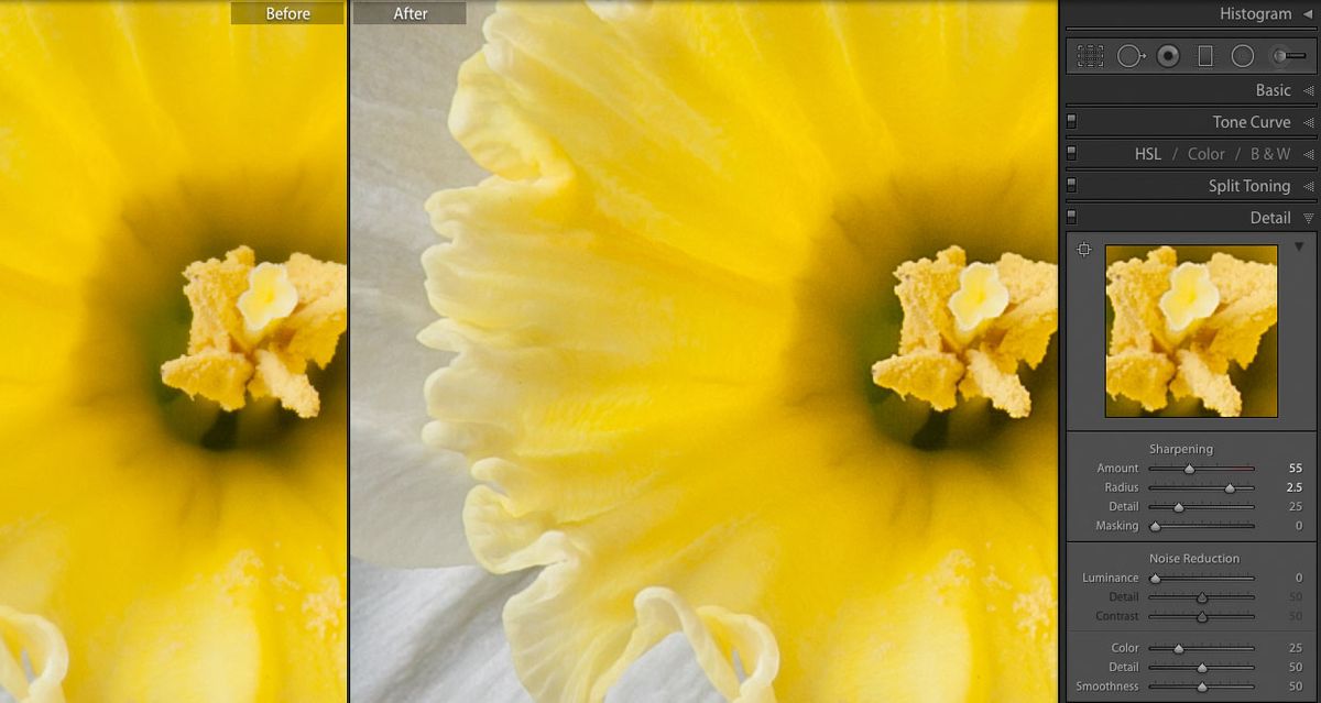 Lightroom series part 2: How to make shots look sharper with Lightroom ...