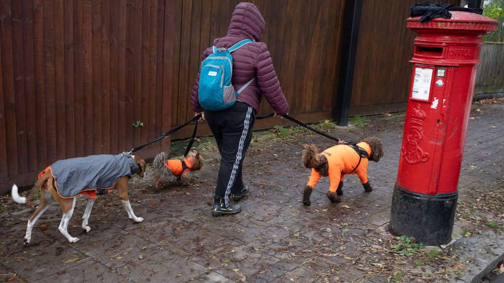 32 worst things about owning a dog | PetsRadar