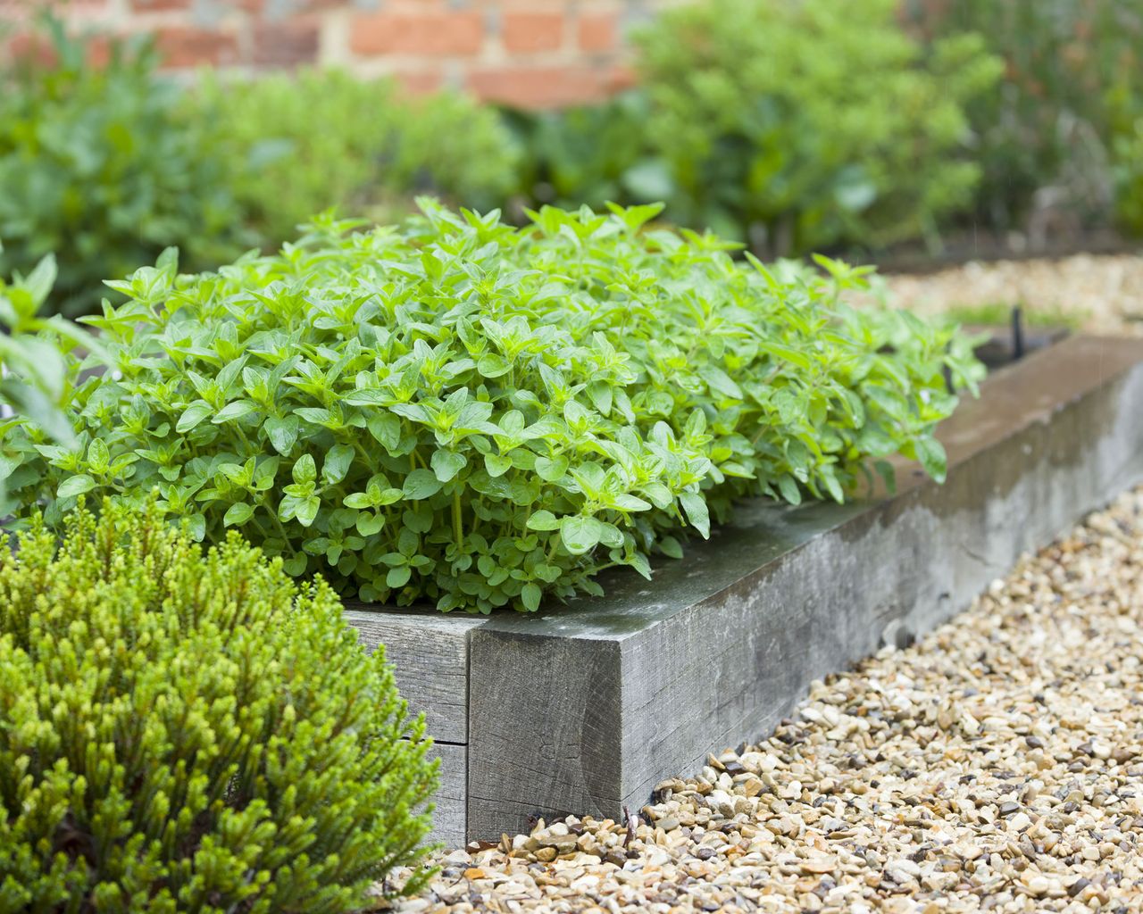 Landscaping with railroad ties: 10 clever ways to use them | Gardeningetc