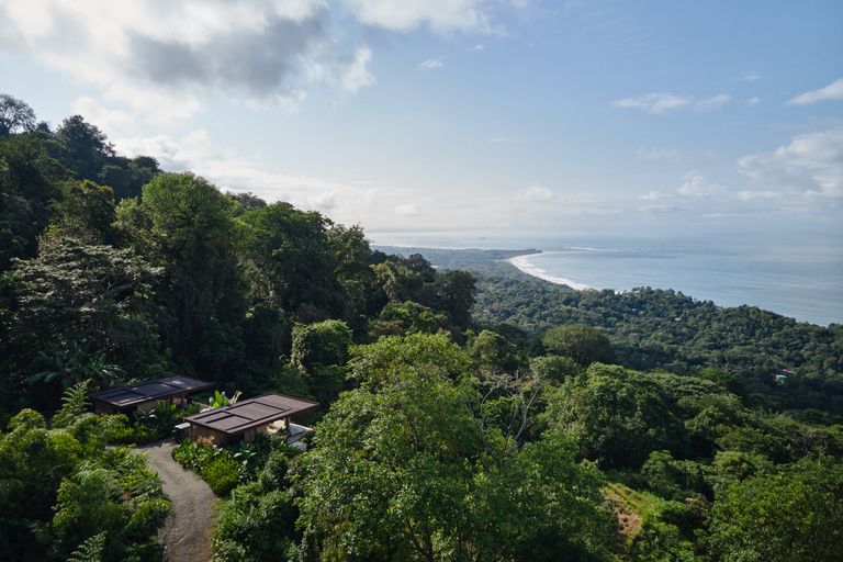 A pair of Costa Rican retreats in the heart of a jungle | Wallpaper*
