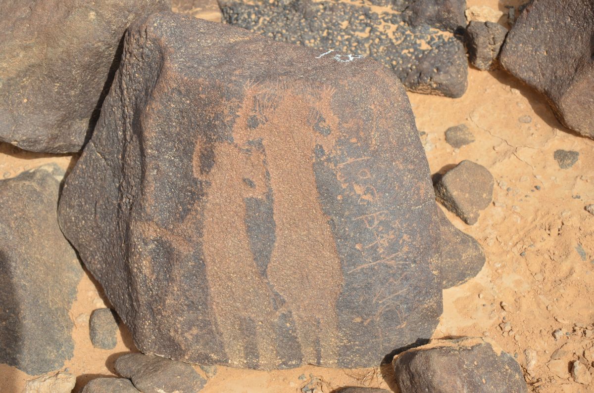 In Photos: Ancient Rock Art Found in Jordan's 'Black Desert' | Live Science
