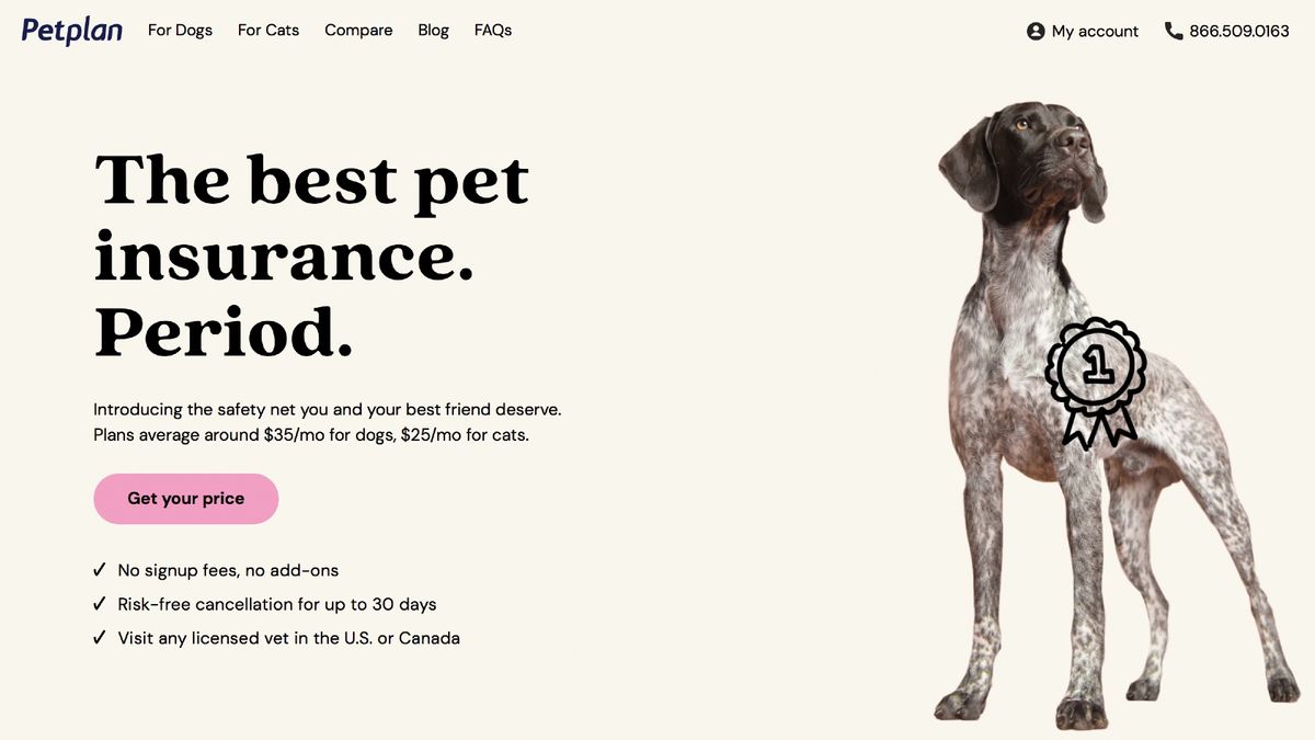Best pet insurance: Essential cover to put your mind at ease | PetsRadar