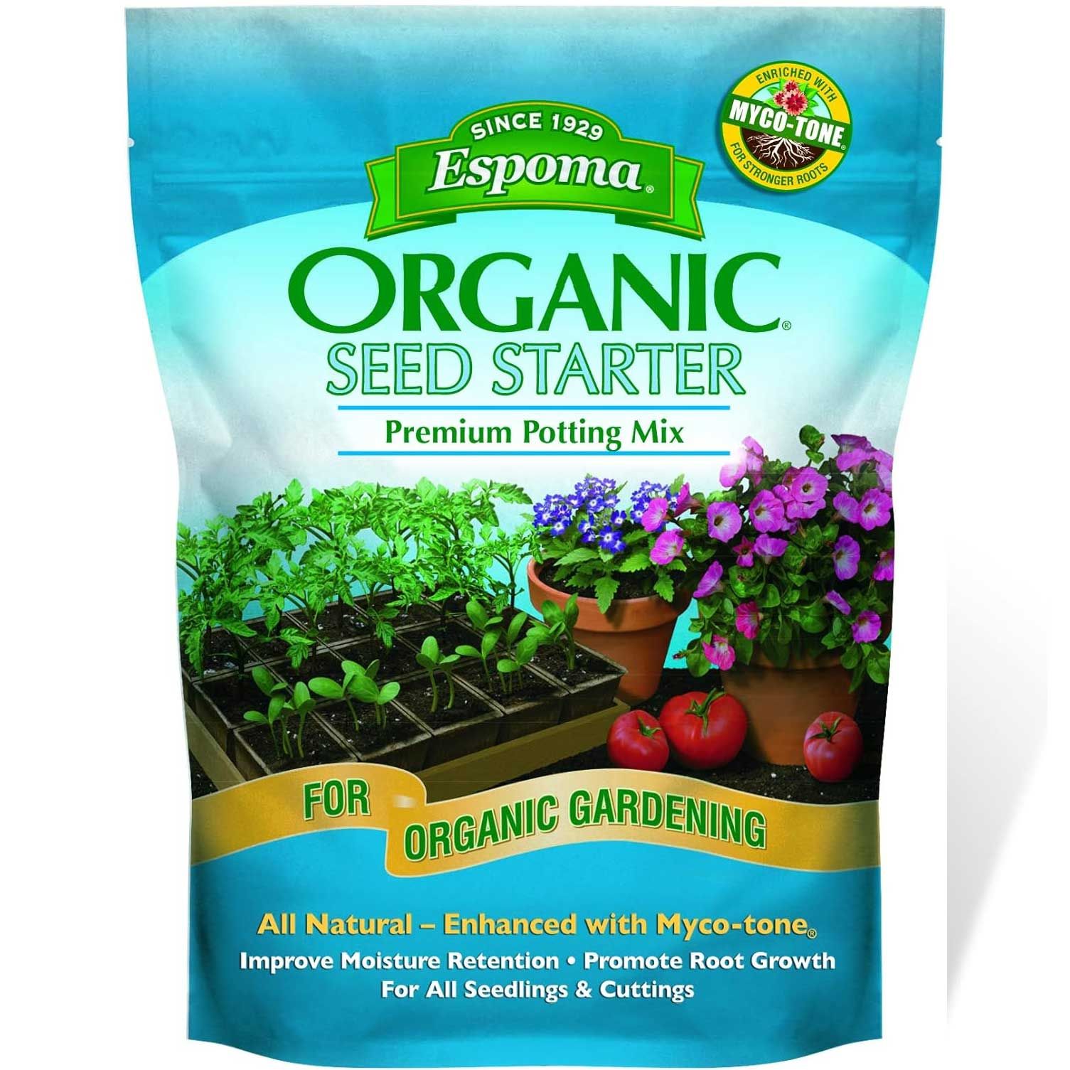 How to sow sweet peas indoors – and why you should start now | Livingetc