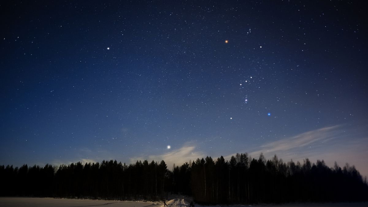 Two cosmic dogs rule the winter sky — here's how to spot them this week ...