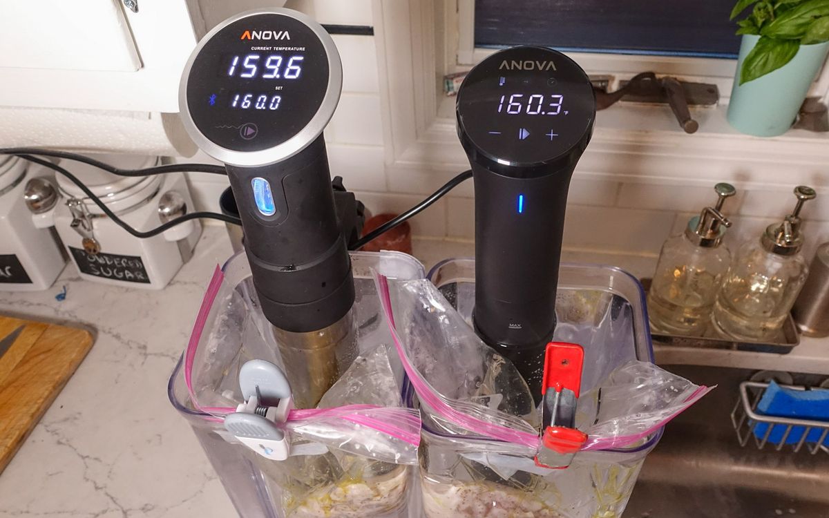 Anova Precision Cooker Nano Review: A Great Introduction to Sous Vide ...