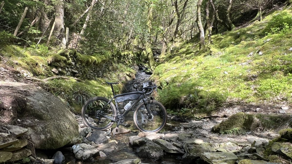 Bespoken Word – Do the new gravel trails at Coed y Brenin complete the ...