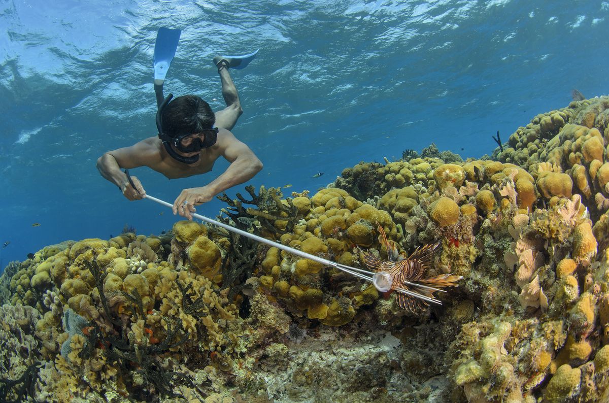 Incredible documentary photography exhibition shows reality of life at ...