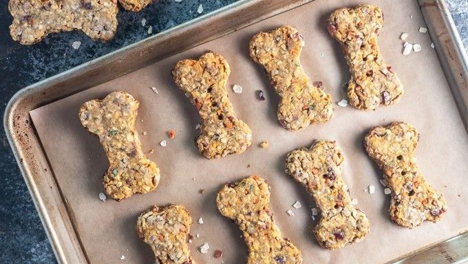 Thanksgiving dinner for dogs: create their own dog-friendly menu ...