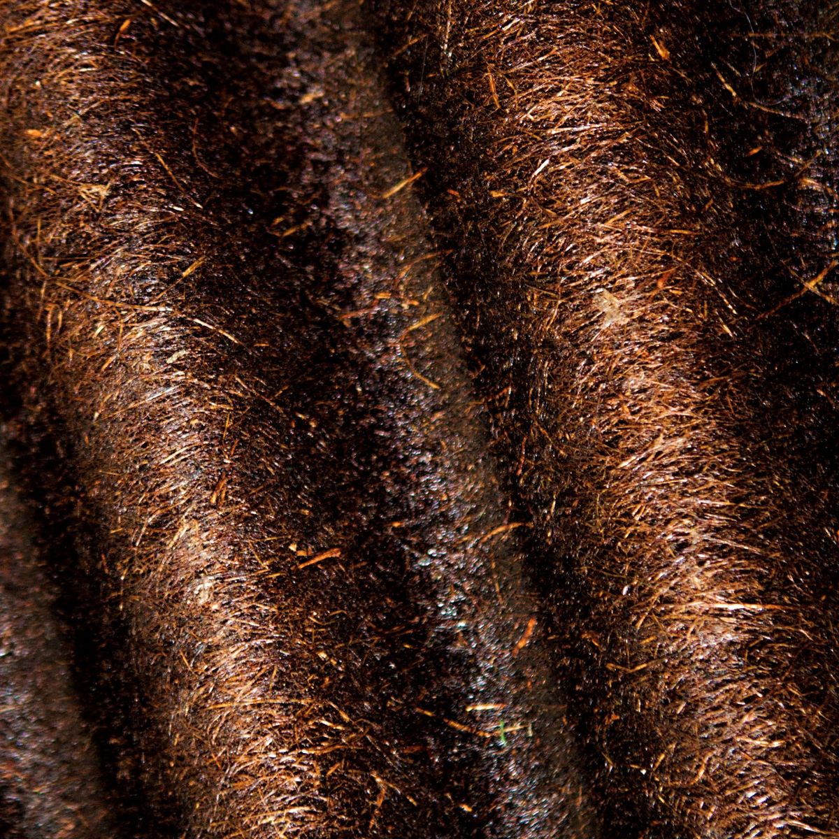 Blueprints released for tiny eco homes made from cannabis plants ...