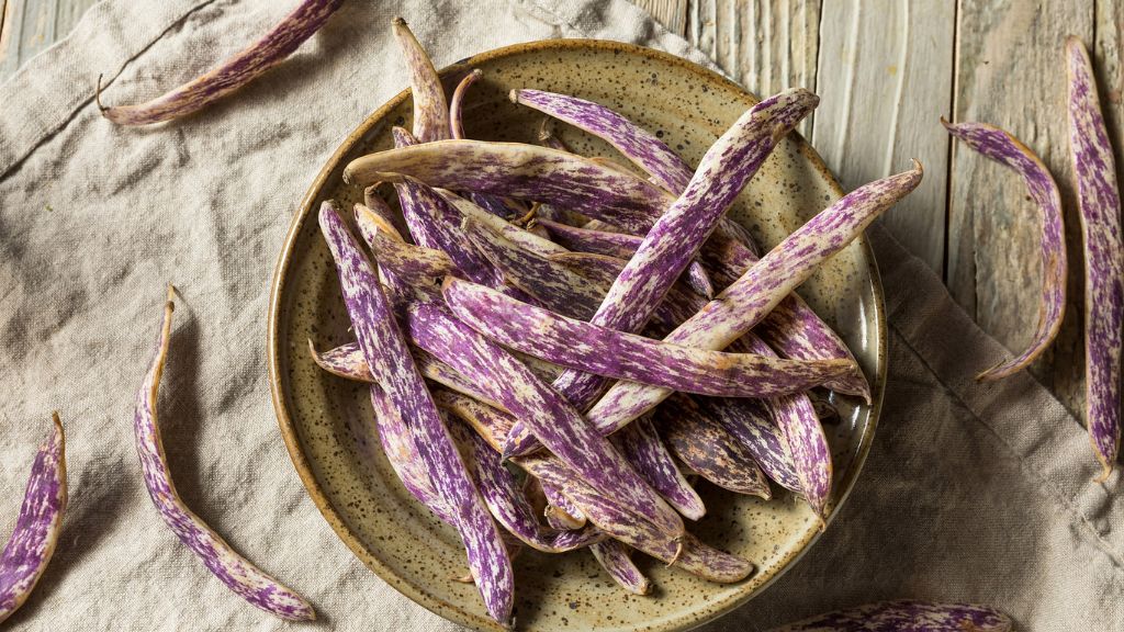 Heirloom Favorites - Growing Dragon Tongue Bush Beans | Gardening Know How