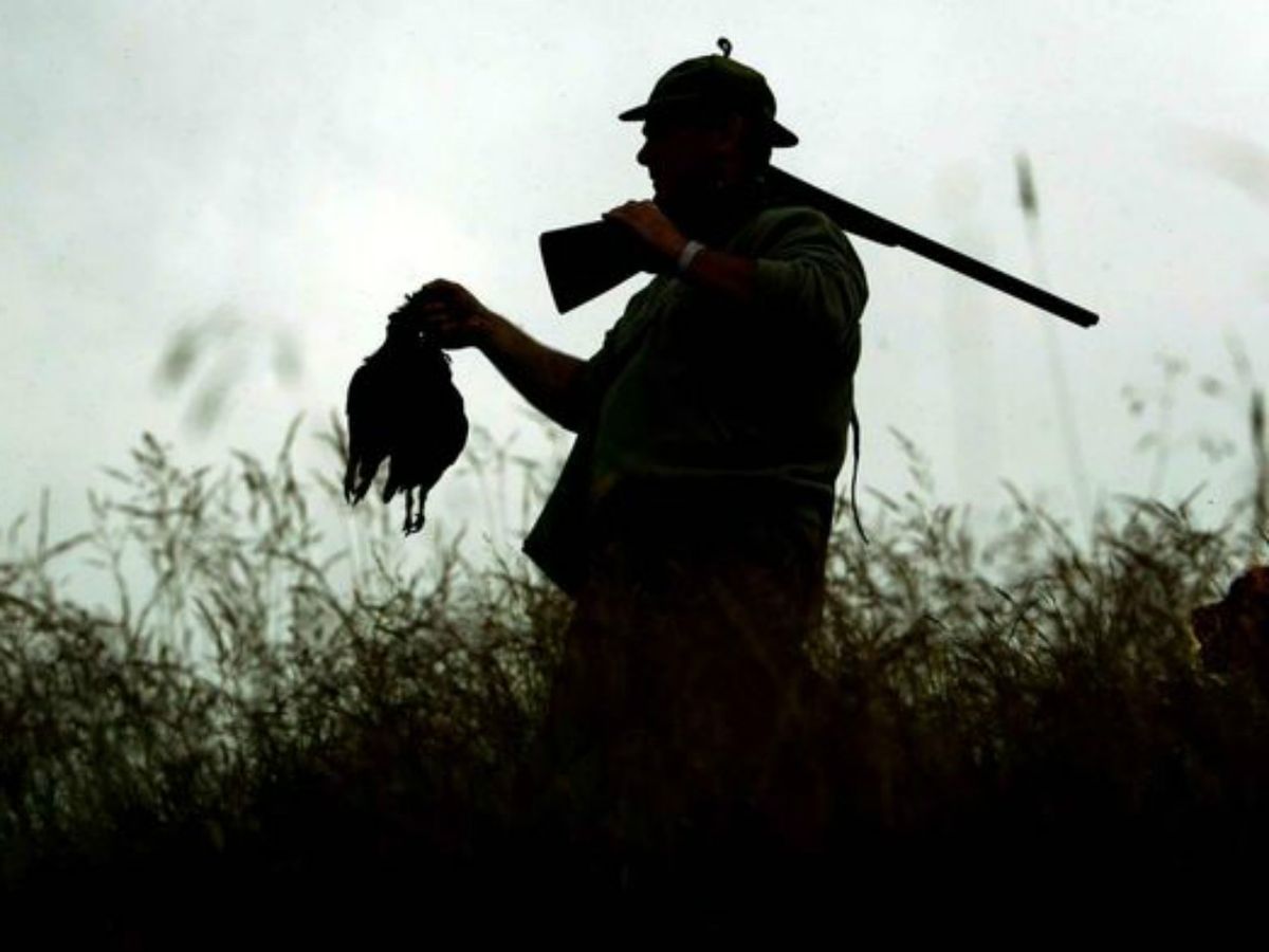 Glorious Twelfth: Has grouse shooting had its day? | The Week