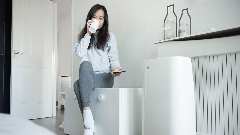 Air purifier myths debunked: What you need to know | Live Science