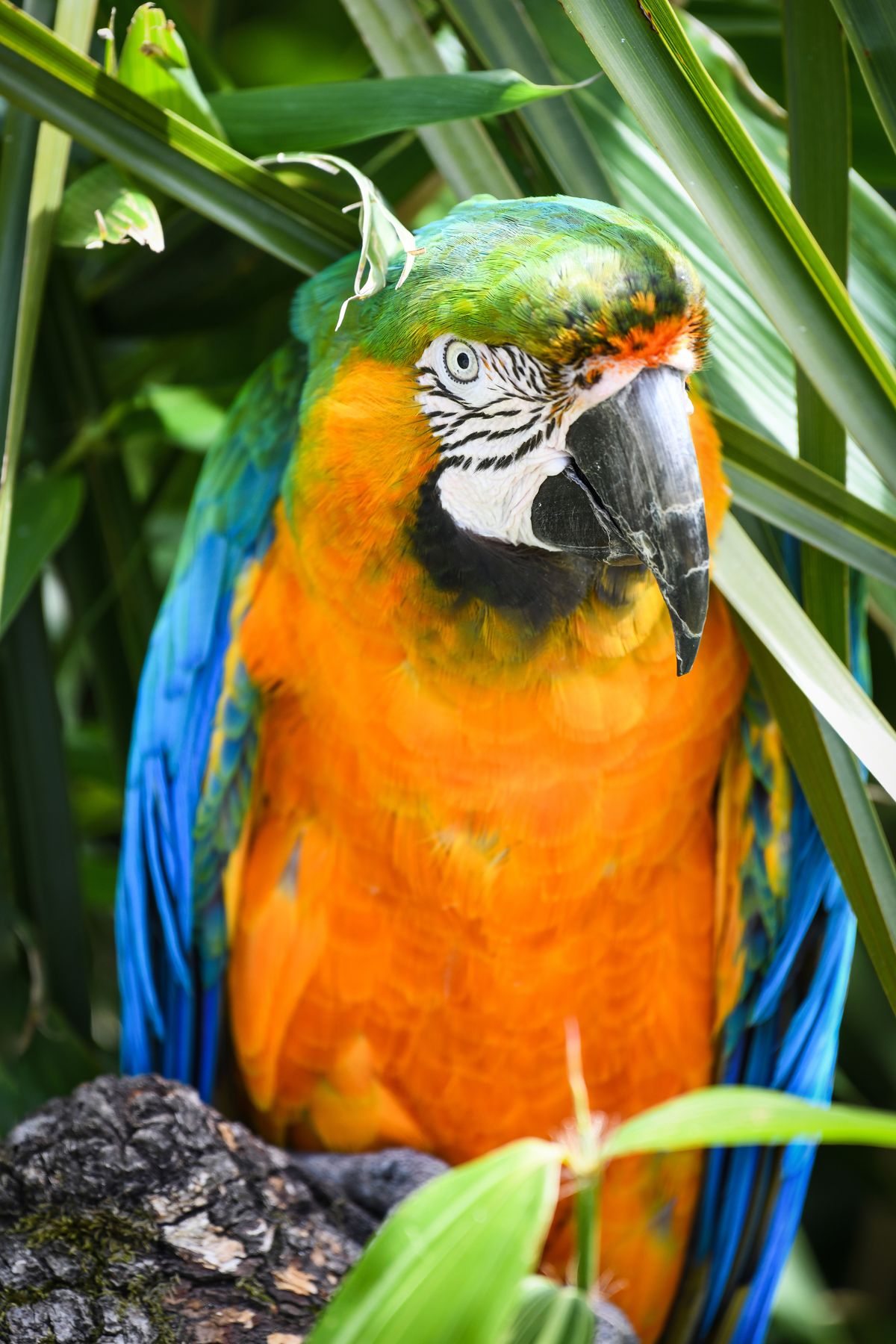 Canon EOS 90D review | Live Science