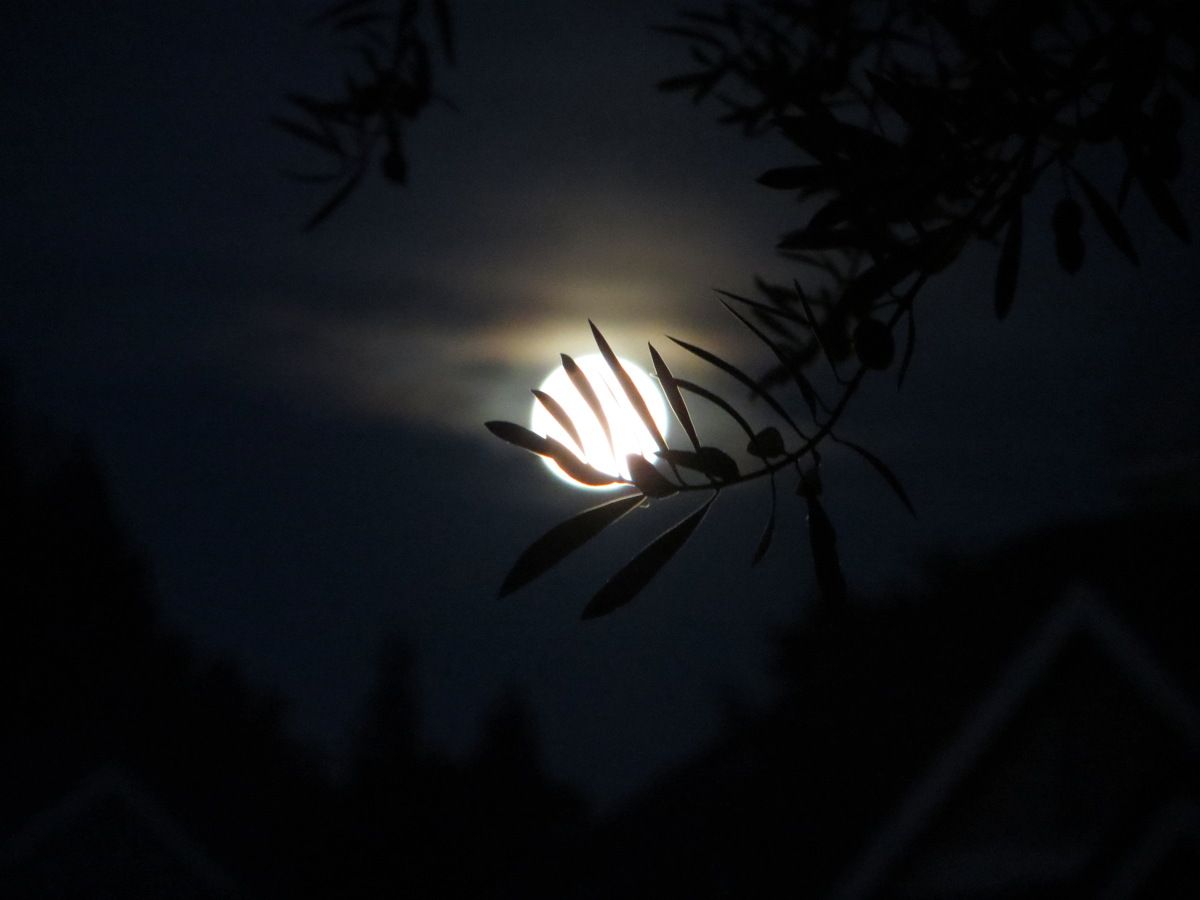 Amazing Supermoon Photos: Biggest Full Moon of 2014 : Page 2 | Space