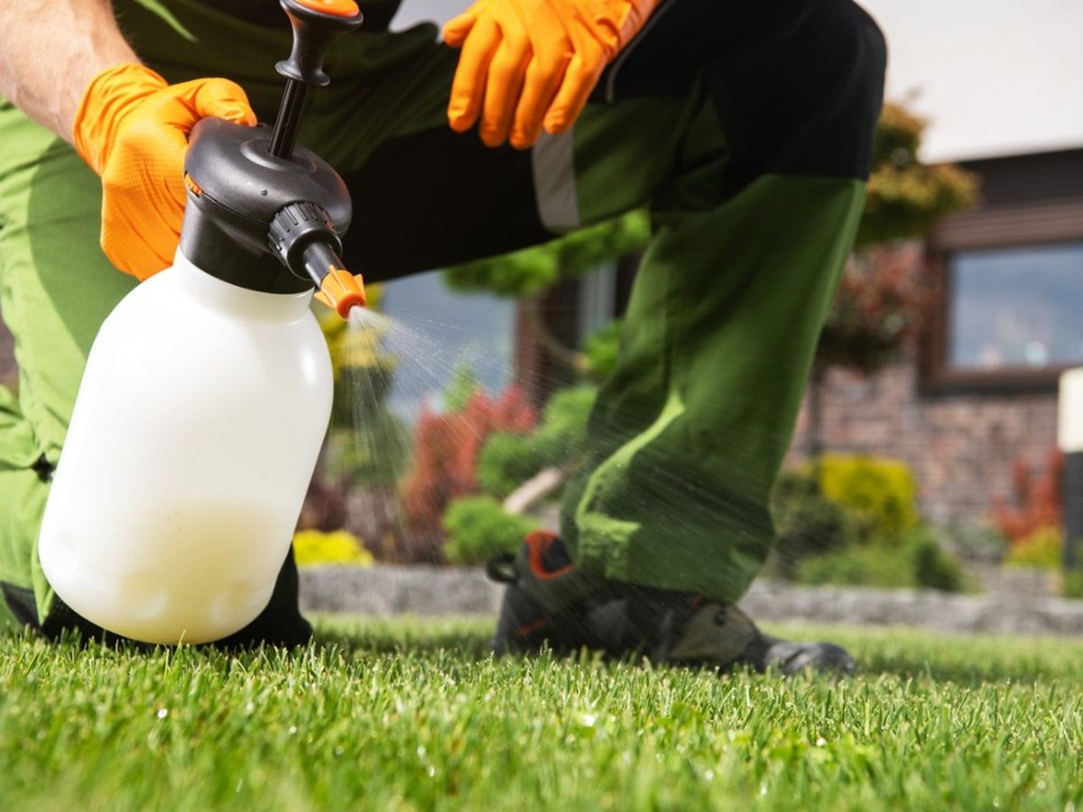 Different Types Of Weed Killer For Lawns | Gardening Know How